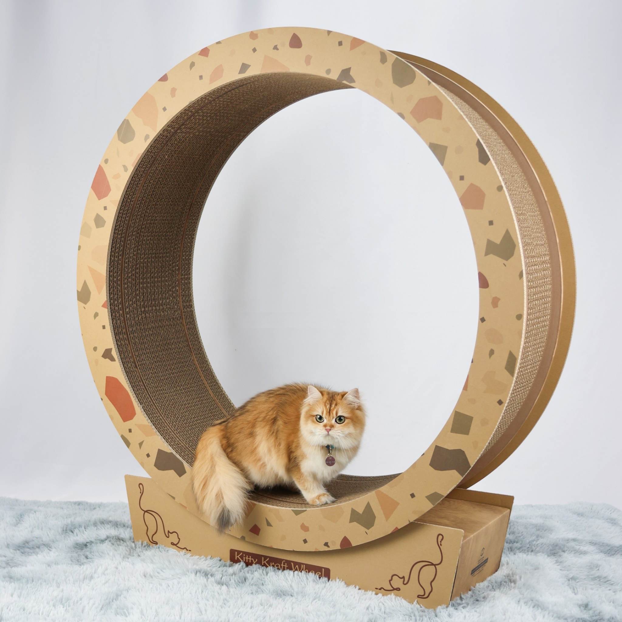 Carton Connection Kitty Kraft Wheel an luxurious acrobatic instrument ...