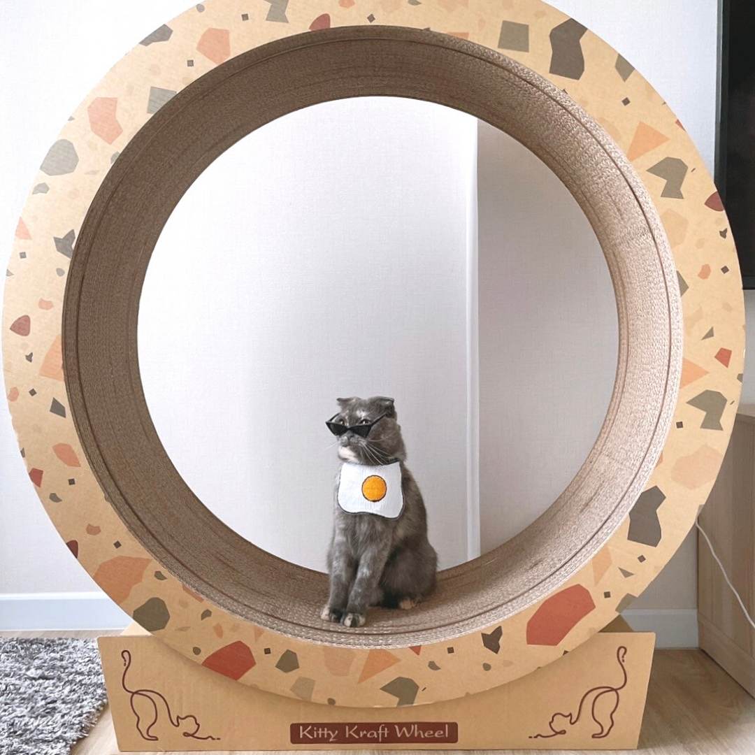Carton Connection Kitty Kraft Wheel ลู่วิ่งแมว วงล้อวิ่งแมวพรีเมี่ยม ทำ ...