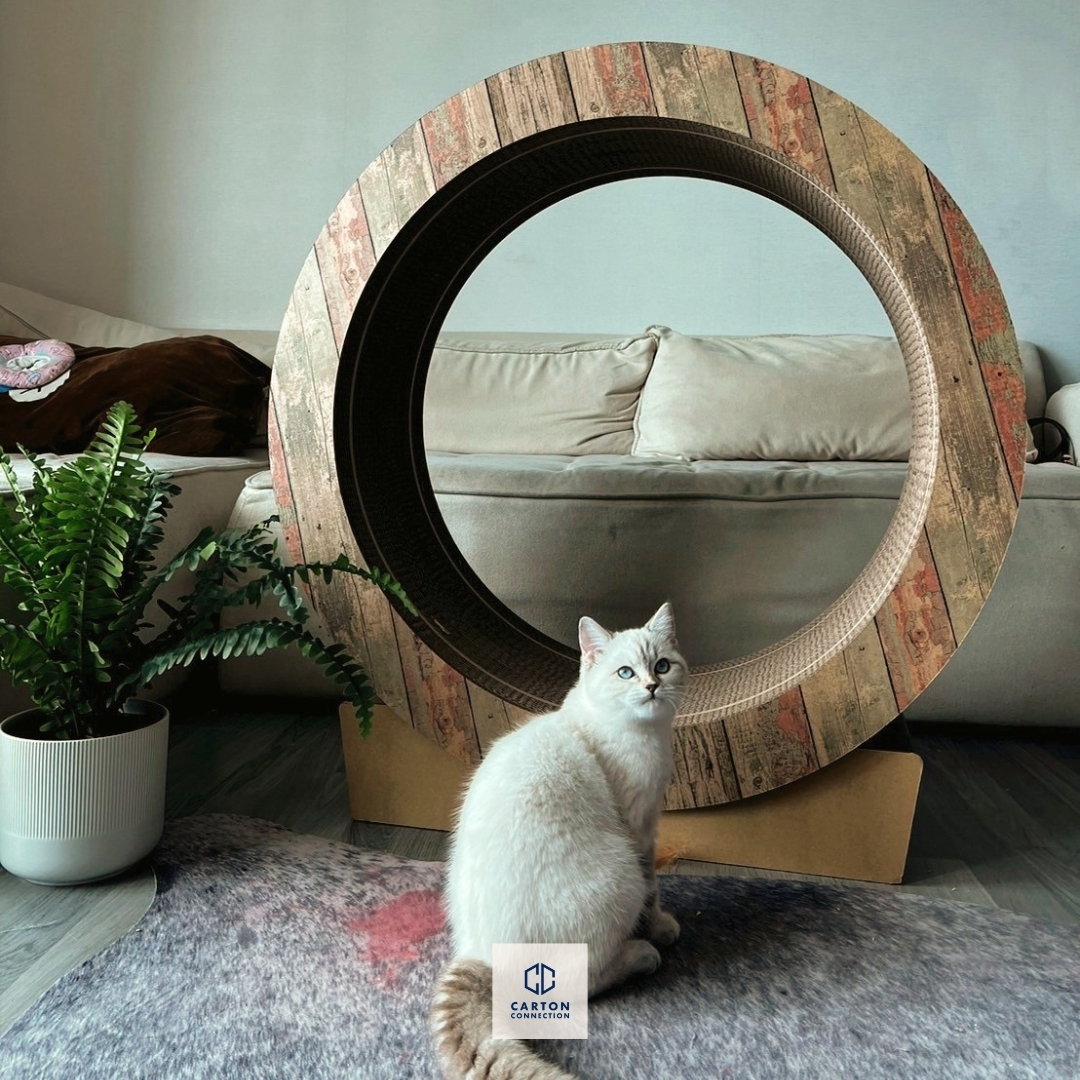 Carton Connection Kitty Kraft Wheel ลู่วิ่งแมว วงล้อวิ่งแมวพรีเมี่ยม ทำ ...