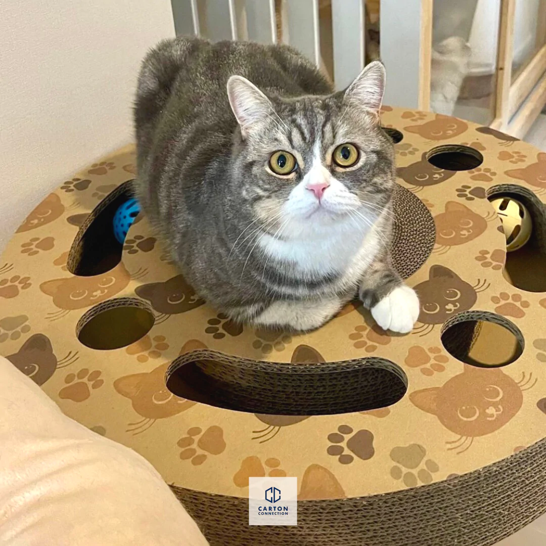 Carton Connection Interactive Scratch Wheel รางบอลลับเล็บพรีเมี่ยม ...