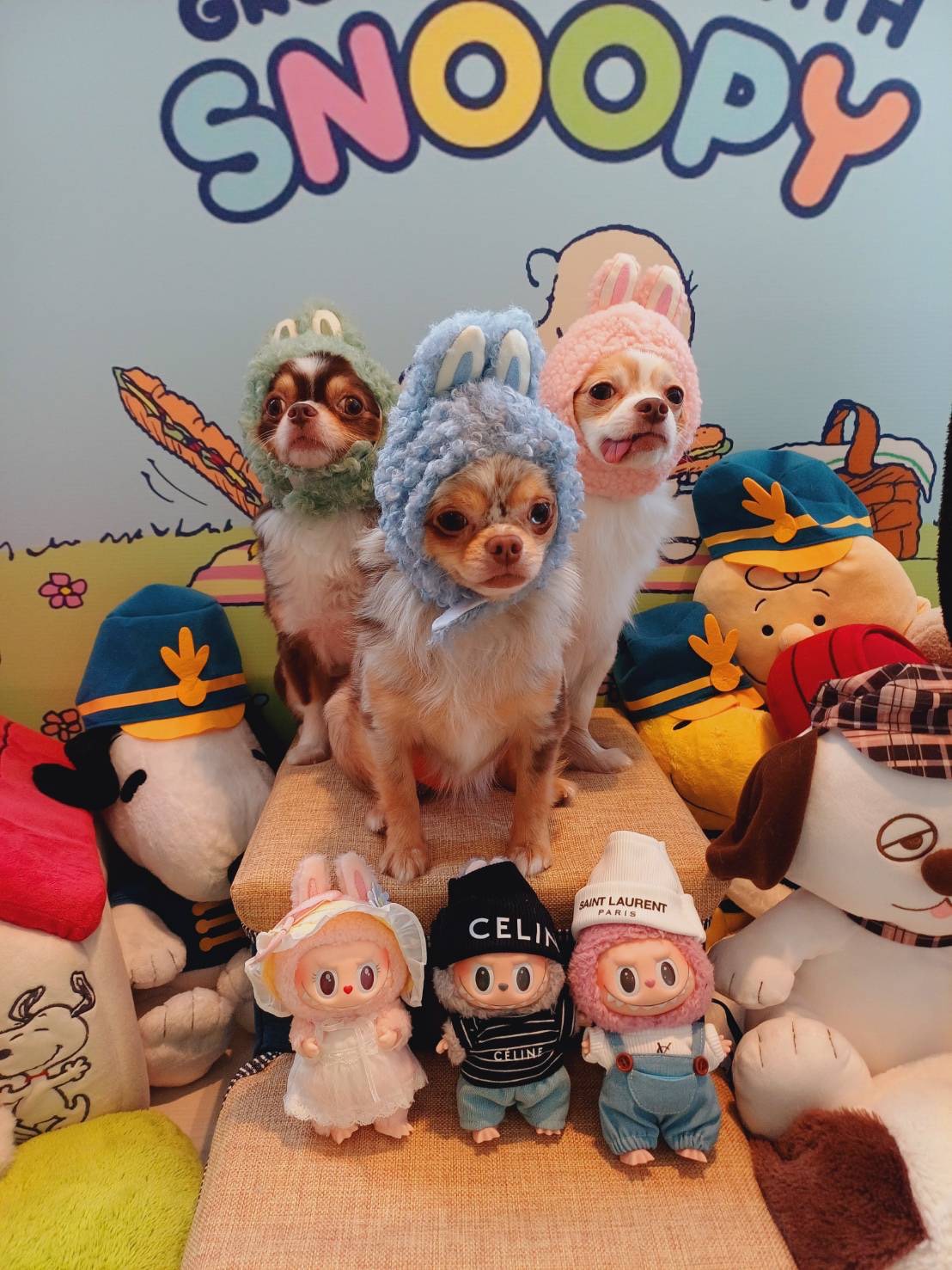 Purrpet หมวกลาบูบู้ หมวกแฟนซี ลายยัยบู้ หมวกแมว หมวกสุนัข ผ้านุ่มพรีเมี ...