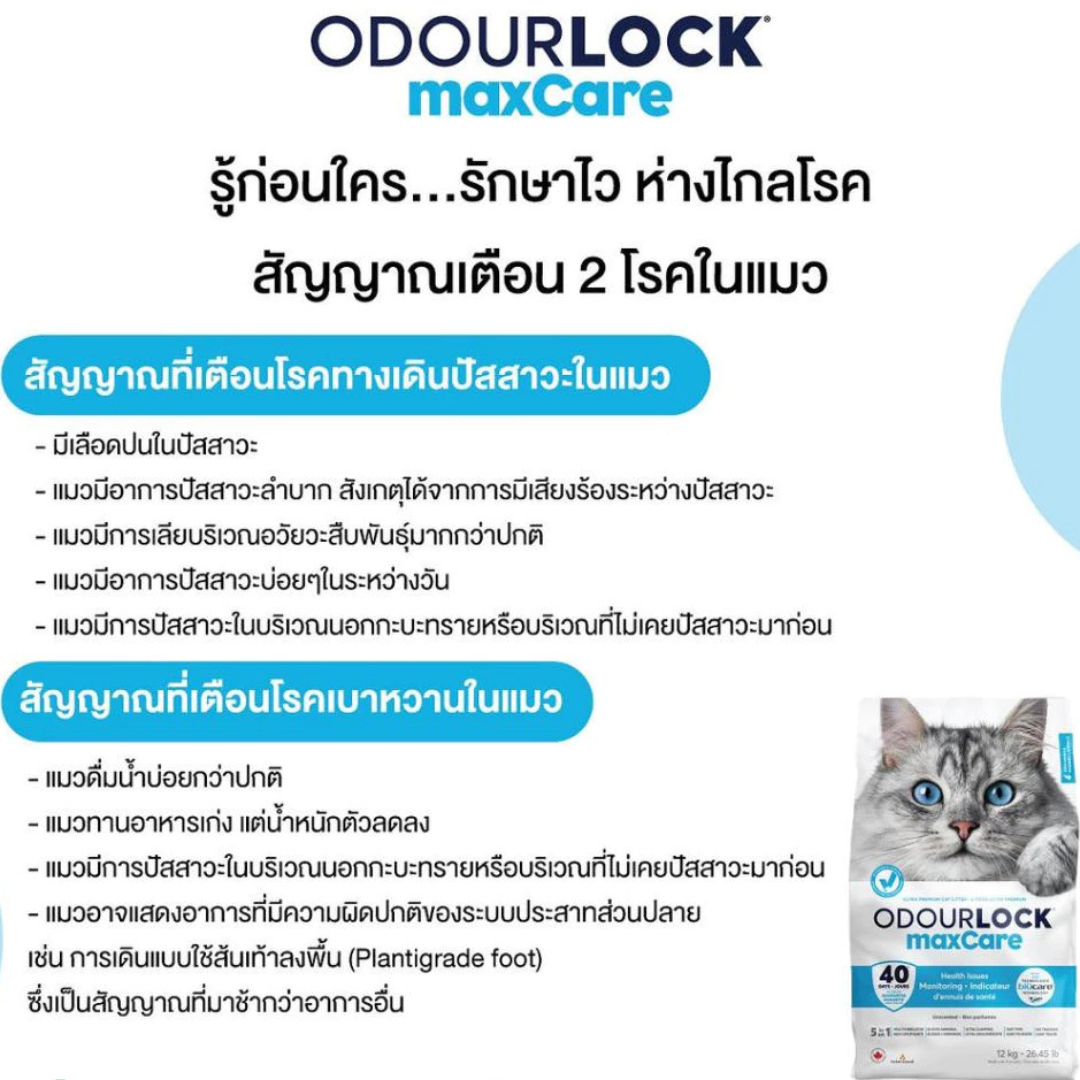 Odour Lock MaxCare ทรายแมวนวัตกรรมตรวจจับเลือดและน้ำตาลกลูโคสในปัสสาวะ ...